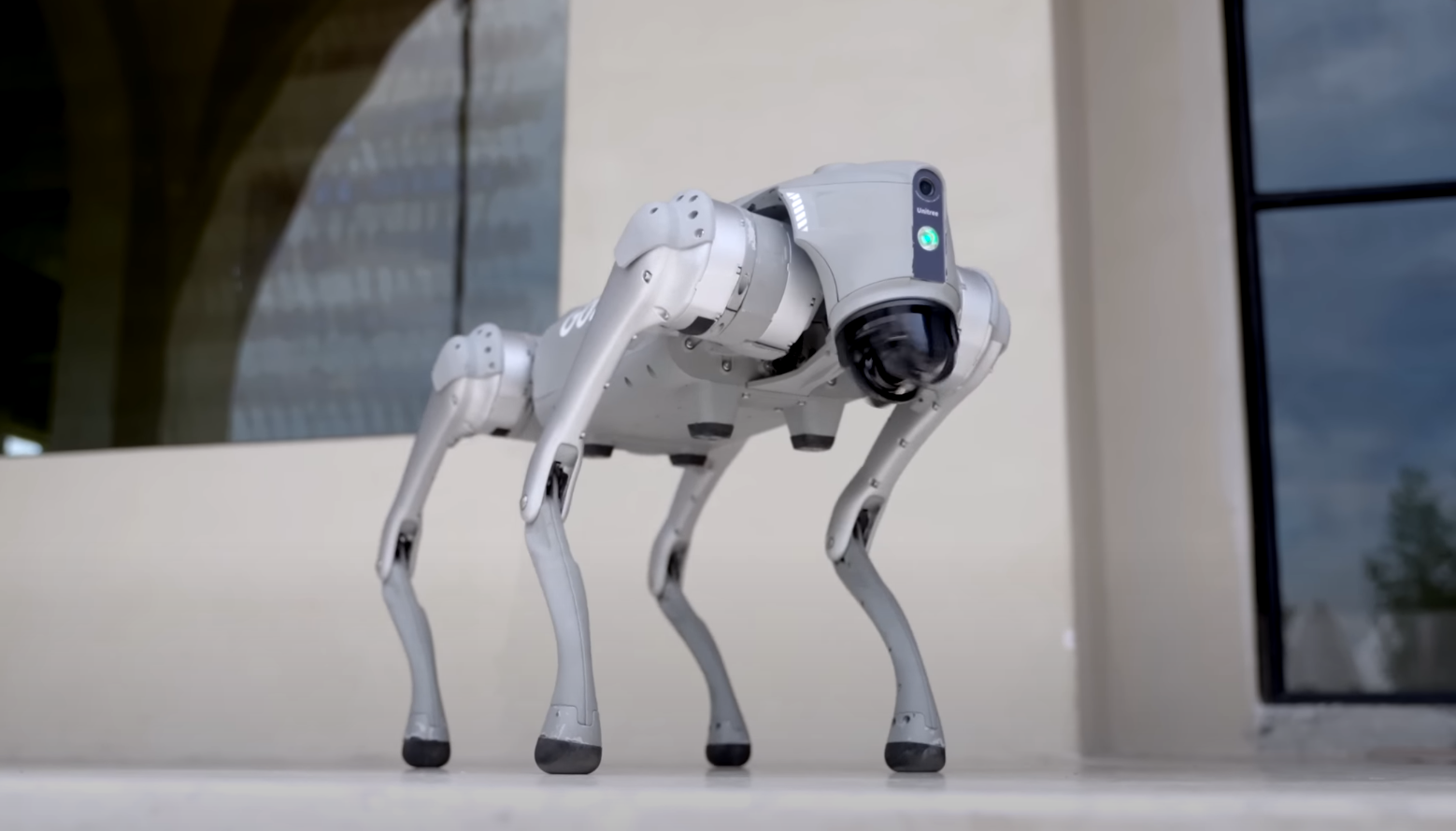 Robot Dog Go2