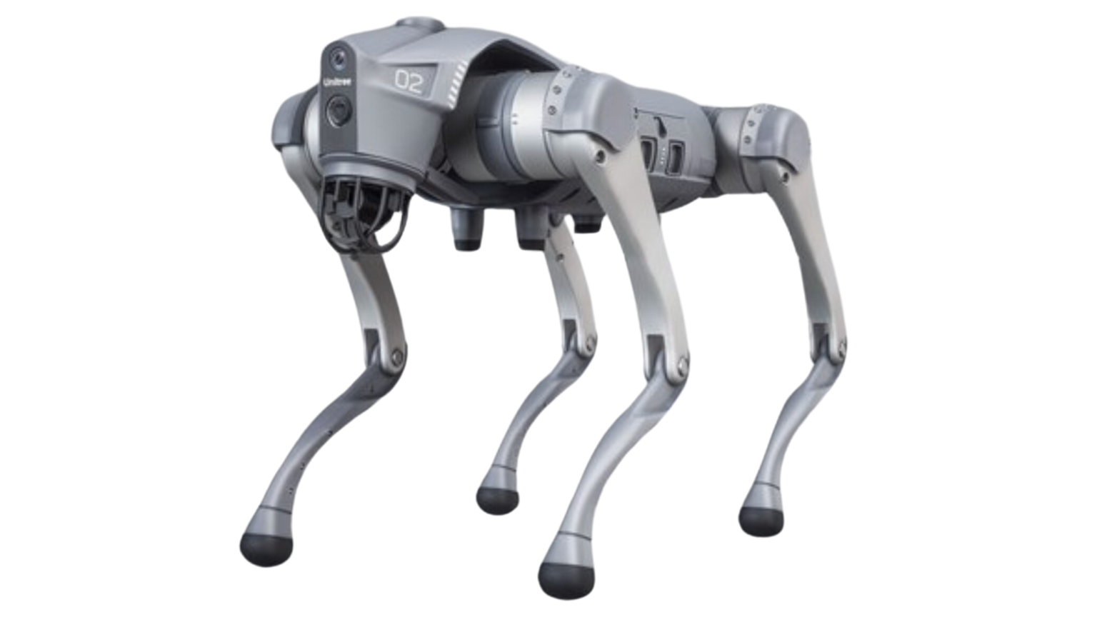 Robot Dog Go2